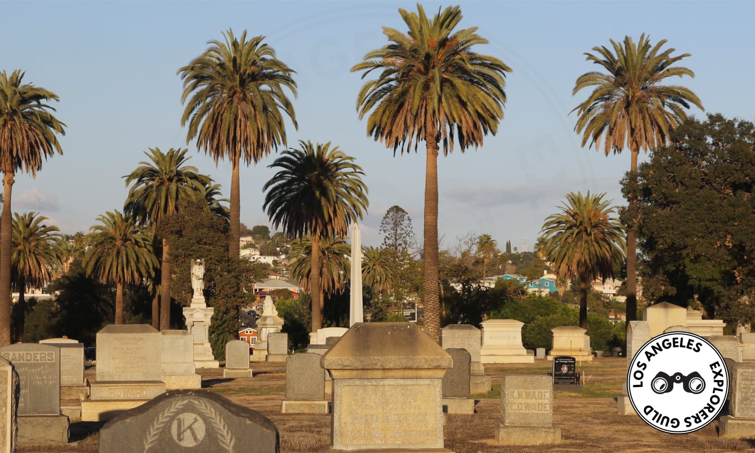 El Pino Famoso: The Majestic Symbol of East Los Angeles – Los Angeles ...