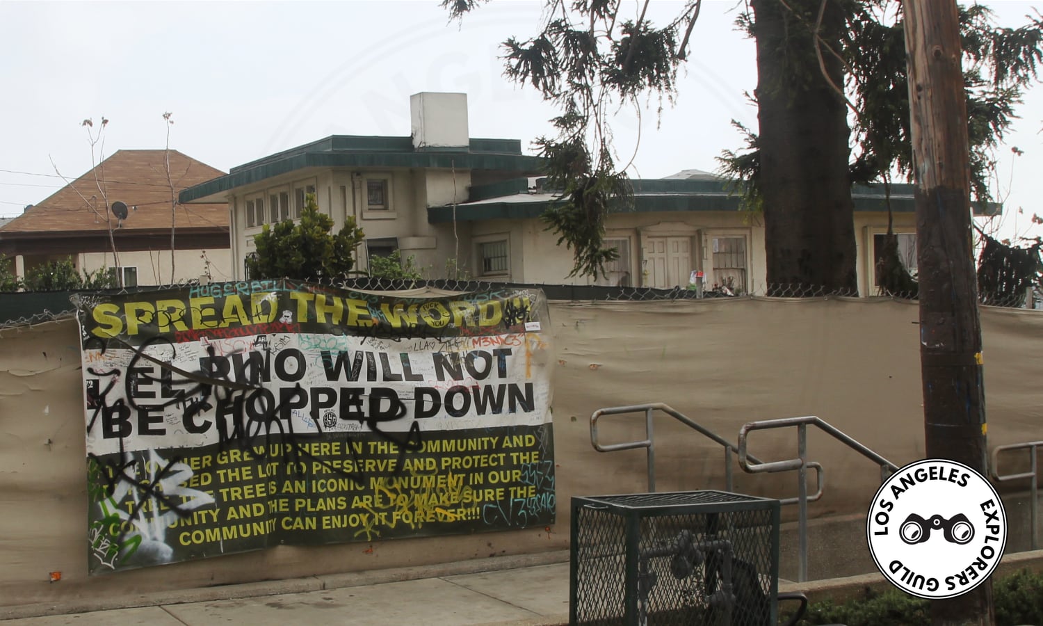 El Pino Famoso: The Majestic Symbol of East Los Angeles – Los Angeles ...