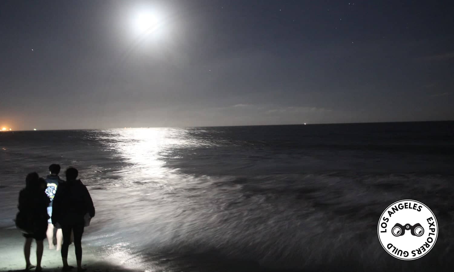 Running with the Grunions: How to Attend a California Grunion Run – Los ...