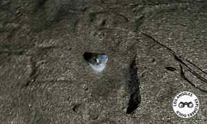 Running with the Grunions: How to Attend a California Grunion Run – Los ...